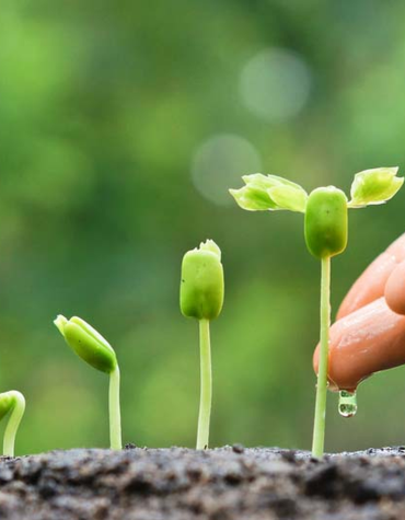 Home | Thames Valley Children's Centre